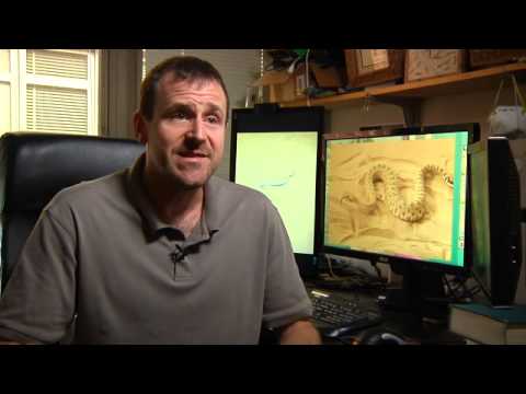 Sidewinder Rattlesnake's Sand Motion Studied For Robotics | Video