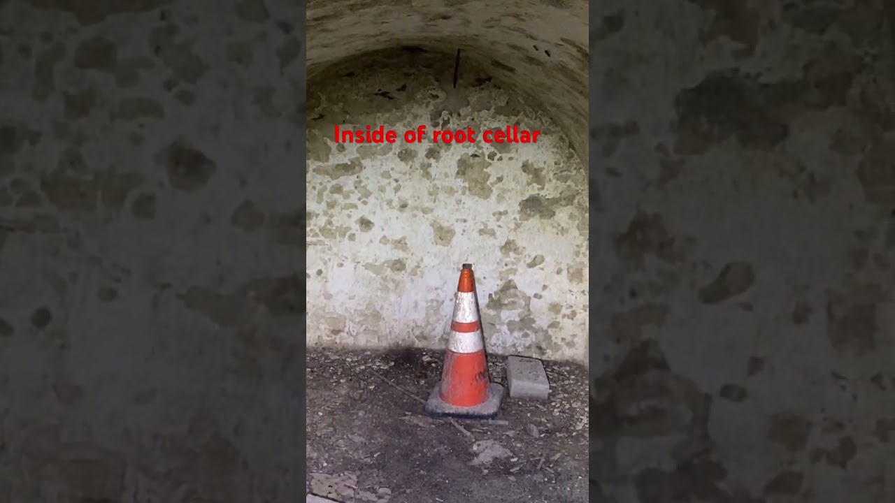 Inside of abandoned root cellar @dayhikingandherpingdudes