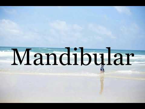 How To Pronounce Mandibular🌈🌈🌈🌈🌈🌈Pronunciation Of Mandibular