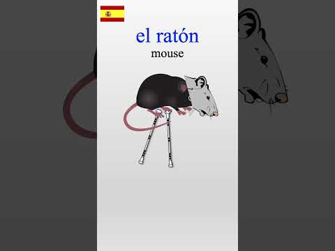 🐁 Learn Spanish with Mnemonics – Mice are Not Rats