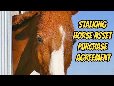 STALKING HORSE ASSET PURCHASE AGREEMENT: THE WEINSTEIN COMPANY GALLOPS INTO A STALKING HORSE OF ...