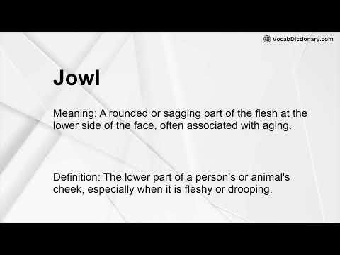 Jowl Meaning