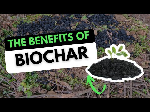 The Benefits of Using Biochar in Your Garden