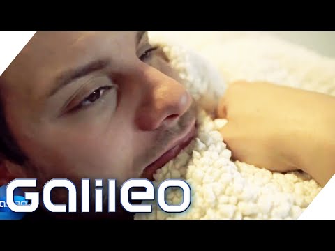 Krank! Was passiert in unserem Körper? | Galileo | ProSieben
