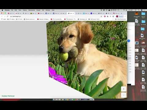 Ollie Hutton – aweloveart