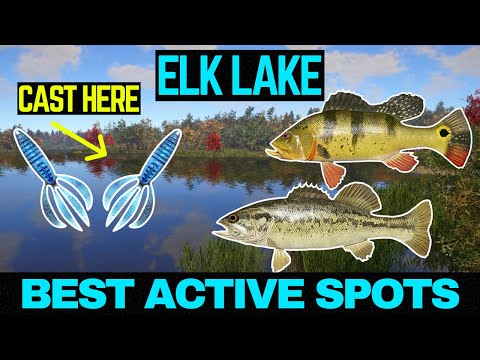 Russian Fishing 4 BEST ACTIVE SPOTS (ELK LAKE)