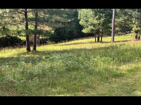 Lots And Land for sale - Lot 6 Brook Greek Court, Blairsville, GA 30512
