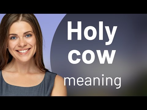 Unlocking the Mystery: The Meaning Behind "Holy Cow"