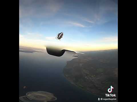 T-28 Trojan loop (hard on attitude indicator) #warbirds #ngpaeverywhere