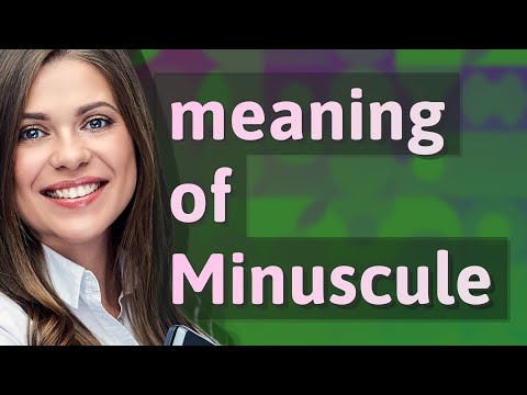 Minuscule | meaning of Minuscule