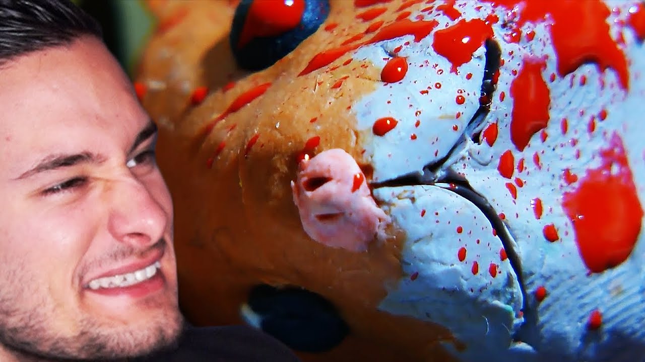 PAUL AND TOM REACT TO ' Hamster Hell (18+) '