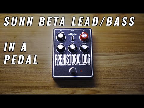 Berserker Prehistoric Dog *Blem* - Sunn Beta Preamp | Reverb