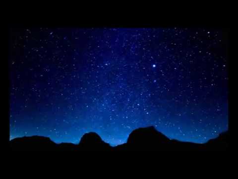 Robert Logan: ‘Metazoa’ [official music video]