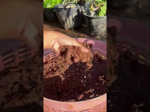 Earth machine composter #sustainablesolutions #foodscraps #sustainableproducts