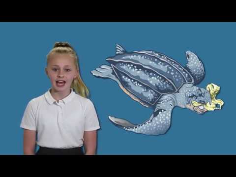 LitFilmFest Change It Winner Claygate Primary
