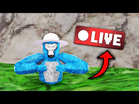 🔴GORILLA TAG LIVE MAKING PFP'S🔴