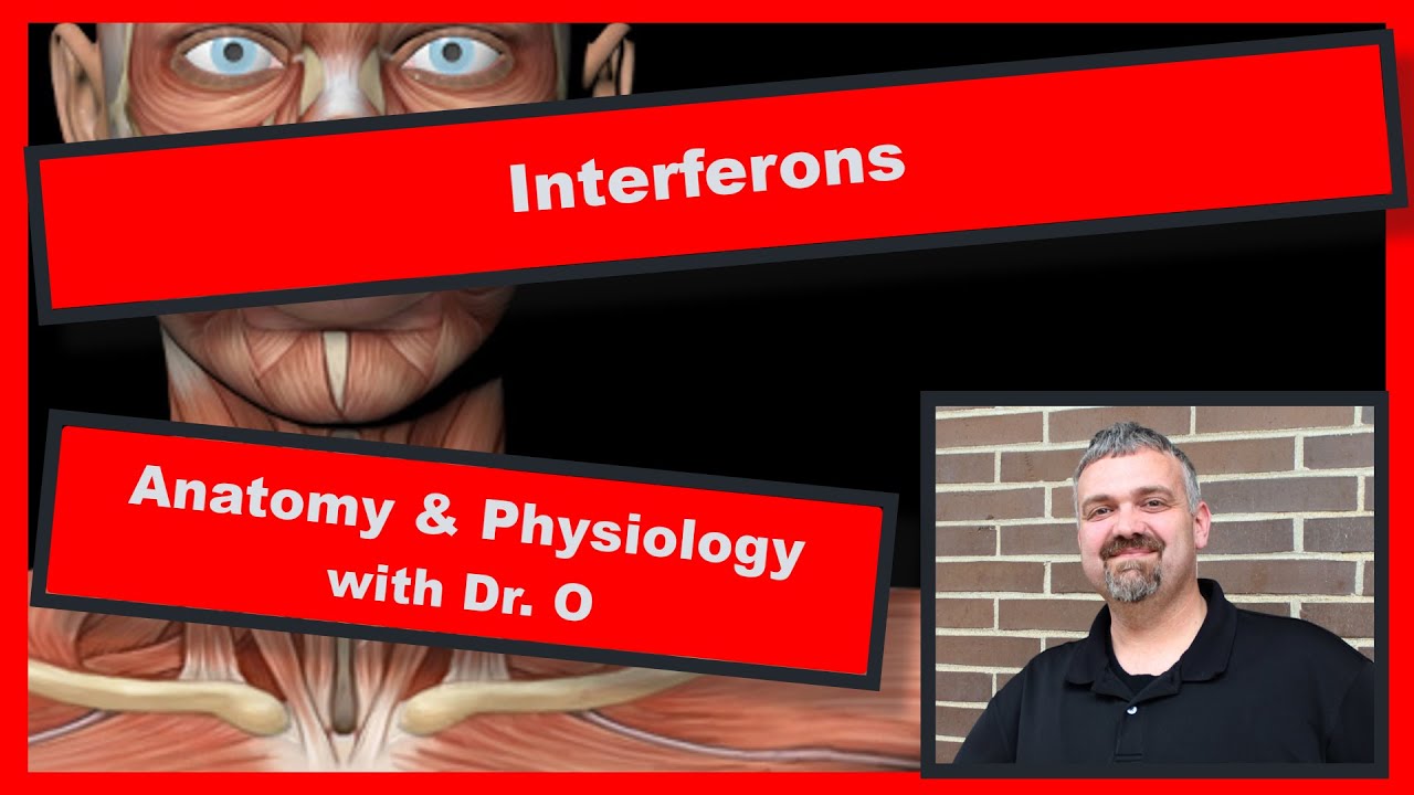Interferon:  Anatomy and Physiology
