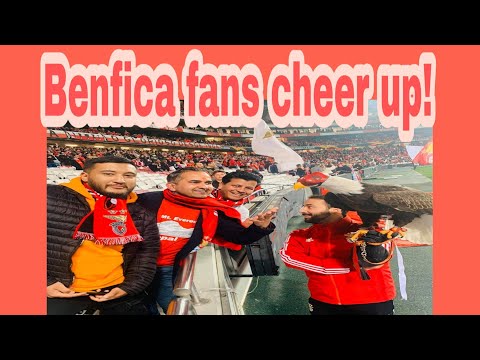 Benfica fan cheering up at stadium|Benifica football club| portugal|