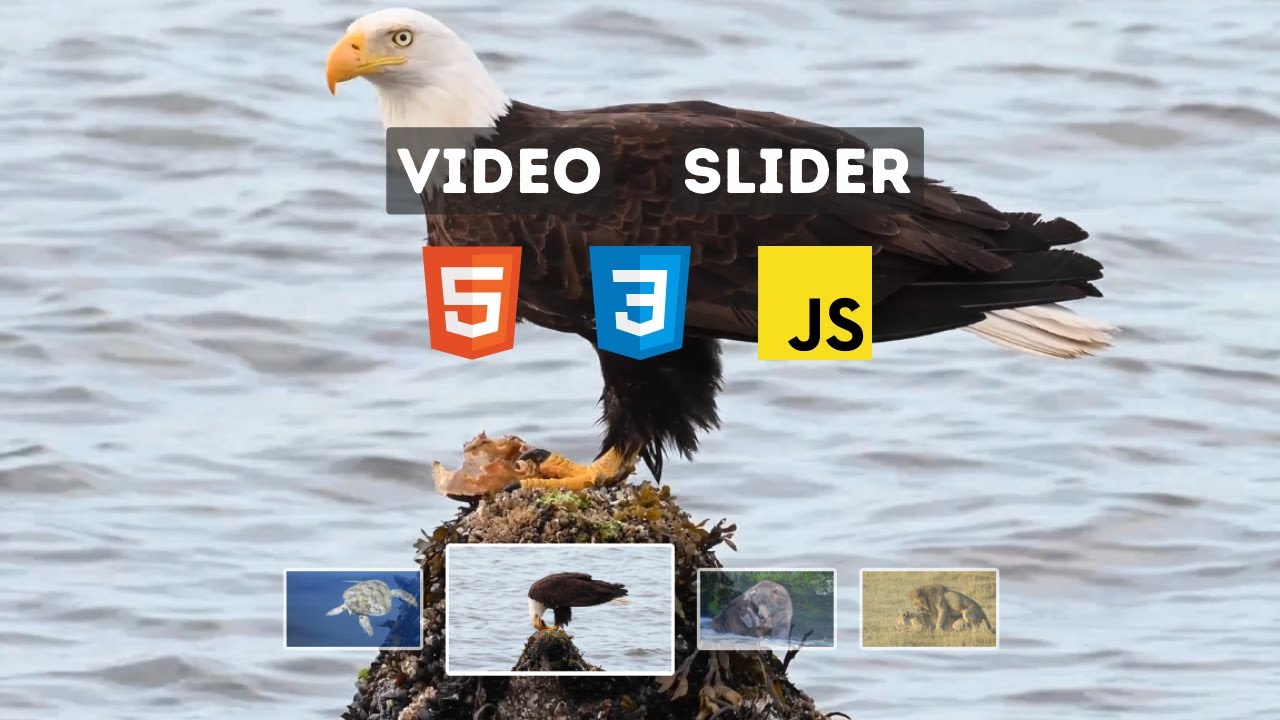 How To Create Video Slider Using HTML CSS And JavaScript | Simple Project JavaScript