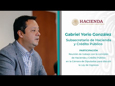 Gabriel Yorio, Subsecretario de Hacienda, participa en reunión de trabajo en la Cámara de ...