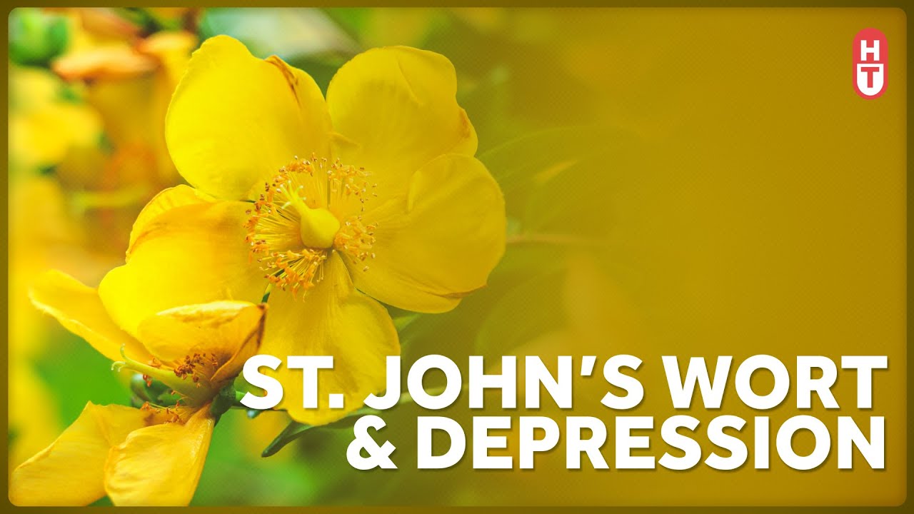 Depression and Saint John's Wort