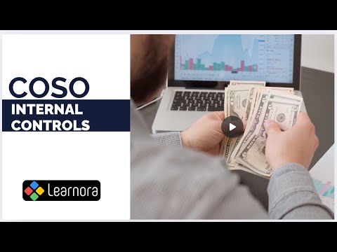 Mastering COSO Control Environment | Learnora