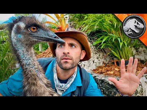 EMU DINOSAURS | Grady P Brown – Author