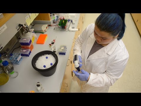 Finding cancer's stress level