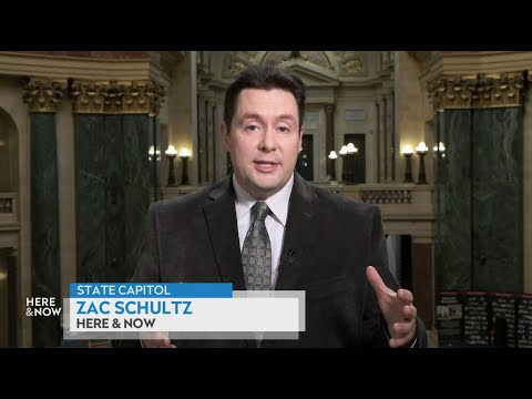 Zac Schultz on Wisconsin's 2024 vote results, 2025 prospects | Here & Now