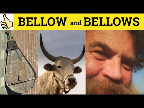 🔵 Bellow Bellows - Bellow Meaning - Bellows Examples - Bellow Definition - Bellows Defined - Bellow