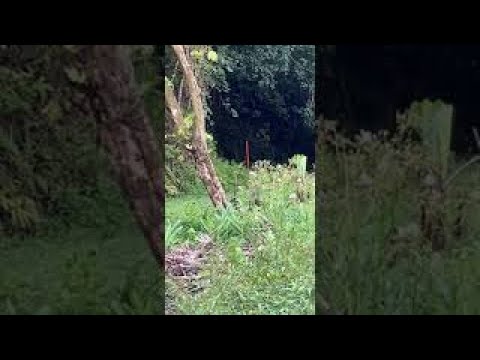 HANALEI LAND FOR SALE