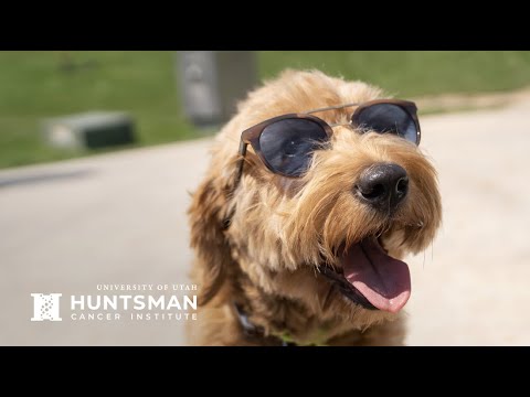 Sun Safety Tips