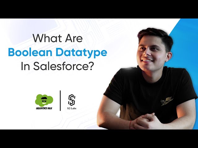 Boolean Datatype In Salesforce Salesforce Developer Tutorials