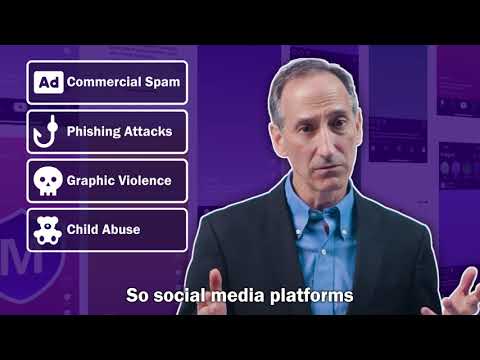 Moderation Matters: Why is social media content moderated?