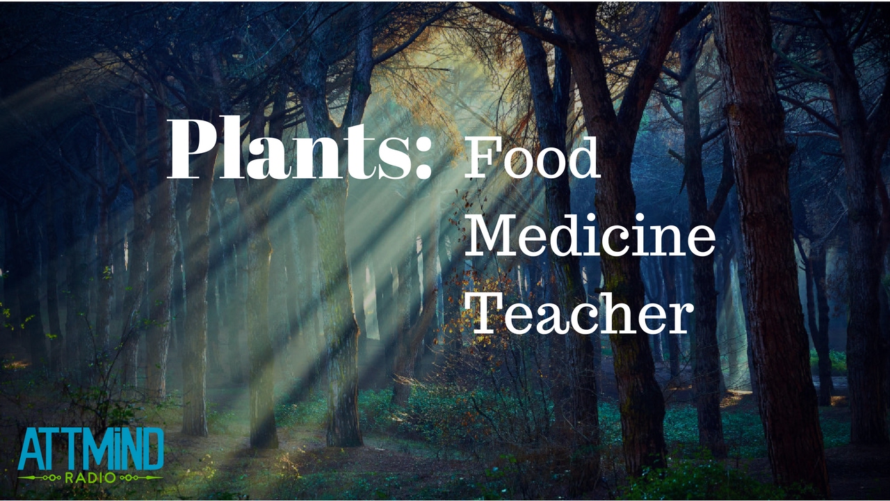 Plants: Food, Medicine, Teacher w/ Yarrow Willard ~ ATTMind Ep. 30