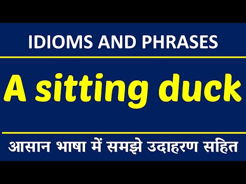 A sitting duck Meaning in Hindi With Sentence | English Idioms and Phrases
