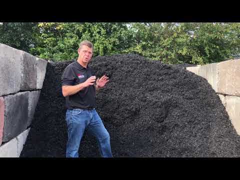 DYED BLACK MULCH - Black or Brown Mulch??
