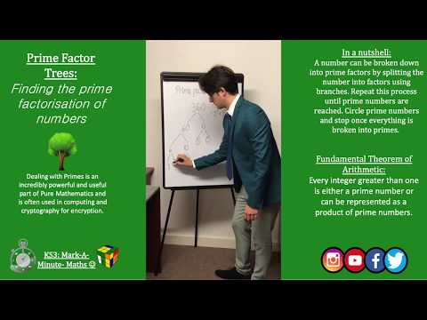Prime Factor Trees