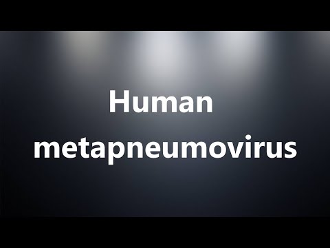 Human metapneumovirus - Medical Definition and Pronunciation