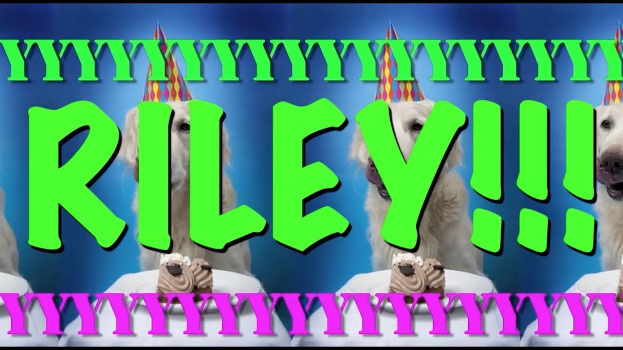HAPPY BIRTHDAY RILEY! - EPIC Happy Birthday Song