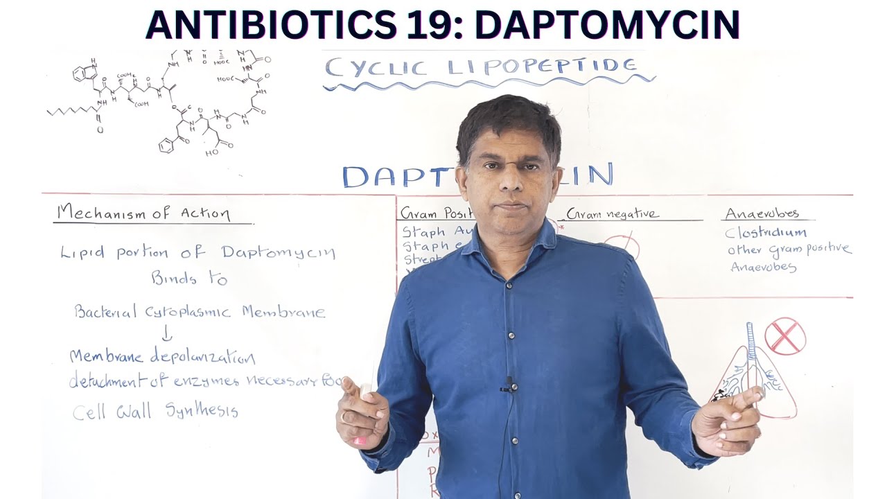 ANTIBIOTICS 19 - DAPTOMYCIN - By Dr. PRAMIL CHERIYATH MD, MS, FACP, SQIL(Harvard)
