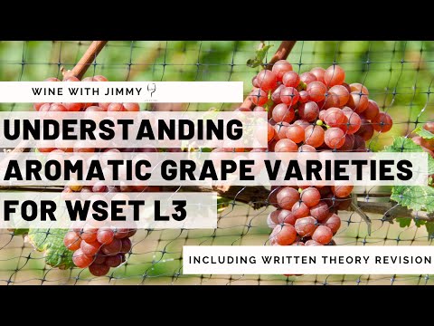 WSET Level 3 Wines - Understanding Aromatics With Working Written Question