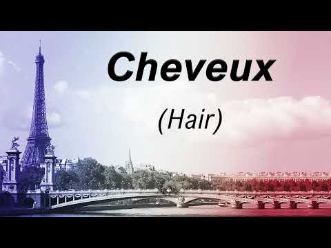 How to Pronounce Cheveux in French + French sentence with it