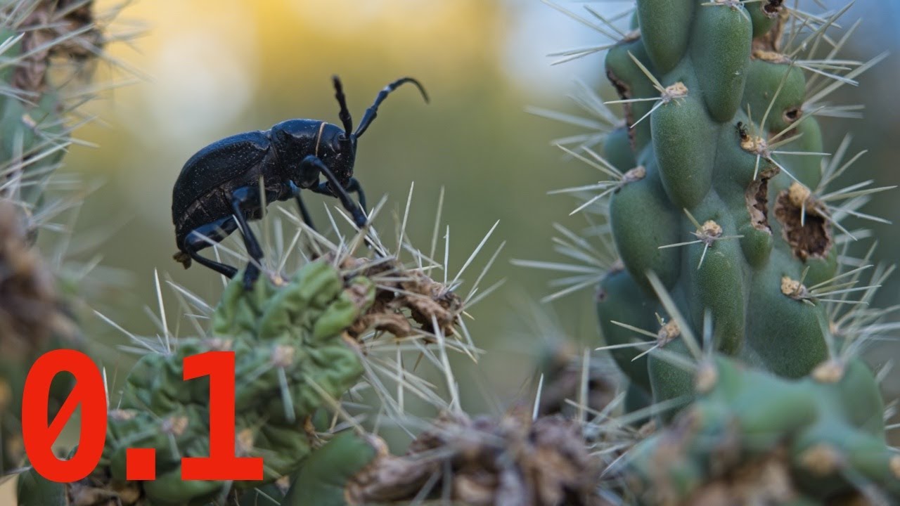 Fixing bugs in my Flutter app