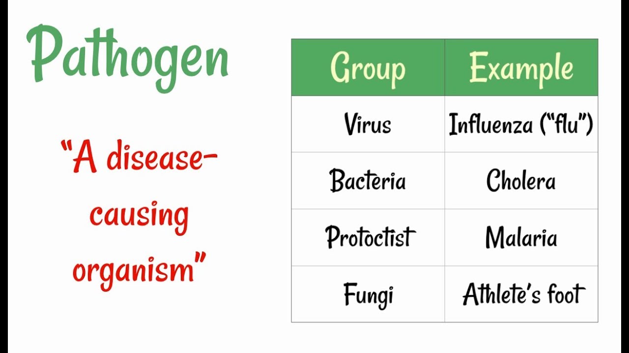 Understanding Pathogens and Their Transmission Methods | Galaxy.ai