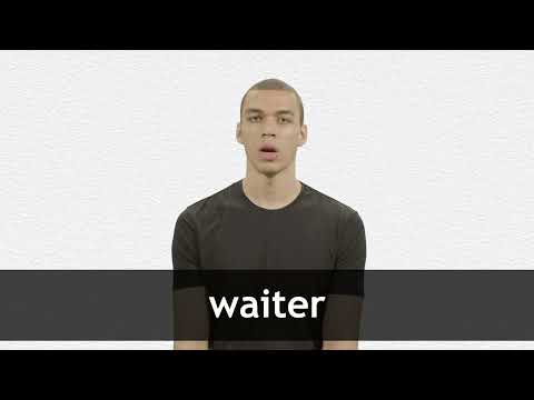 WAITER definition and meaning | Collins English Dictionary