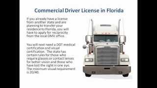 Driver's License Examiner Overview | What is a driver's license ...