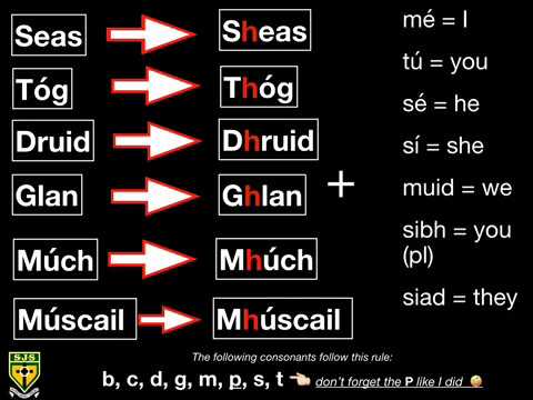 How to form the past tense in Irish