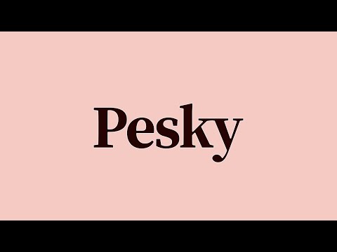 Pesky Meaning and Pronunciation