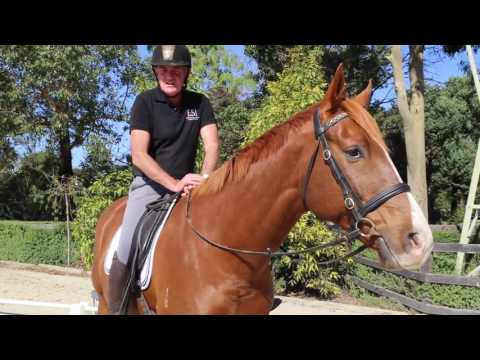 Welcome to our equitation science channel with Andrew McLean